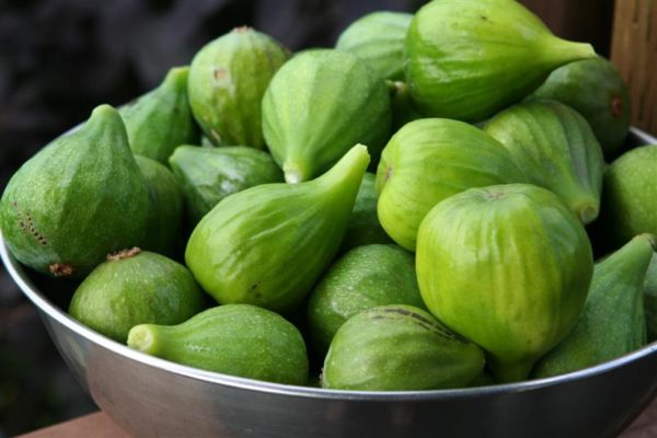 Now Bring Us Some Figgy Pudding: Fig Recipes from August - Garden Therapy