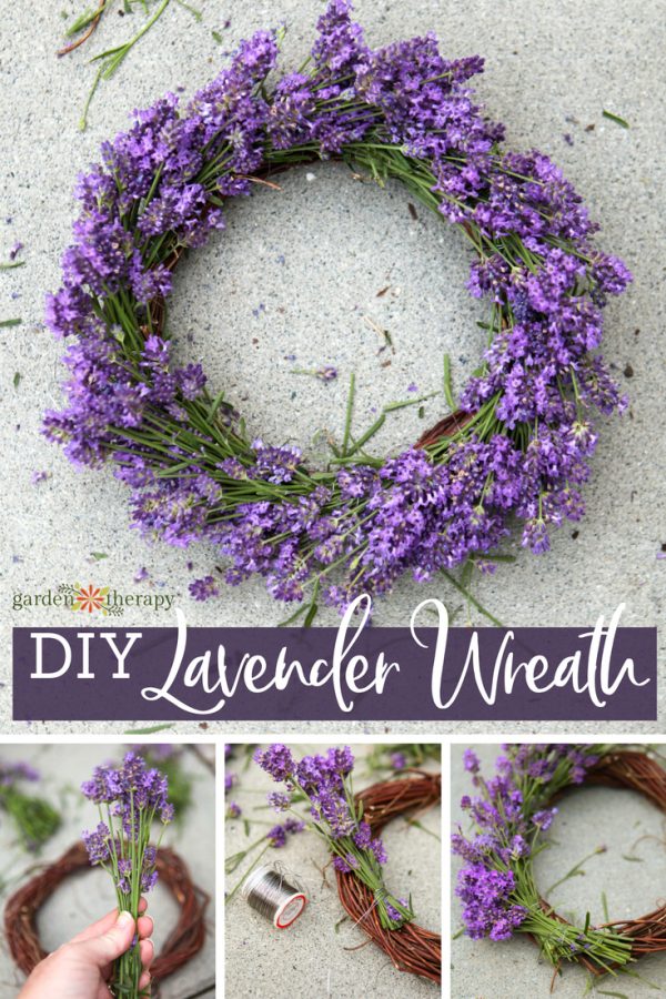 DIY Lavender Wreath That Dries Beautifully! - Garden Therapy