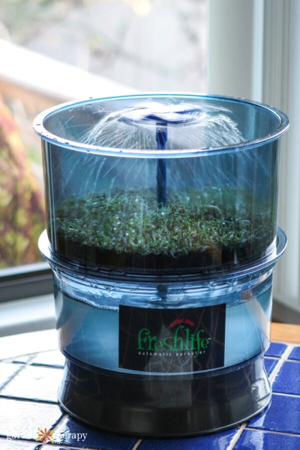 Sprouting Seeds: The Simple Guide to Growing Food Indoors