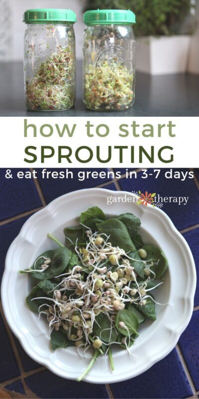 Sprouting Seeds: The Simple Guide to Growing Food Indoors