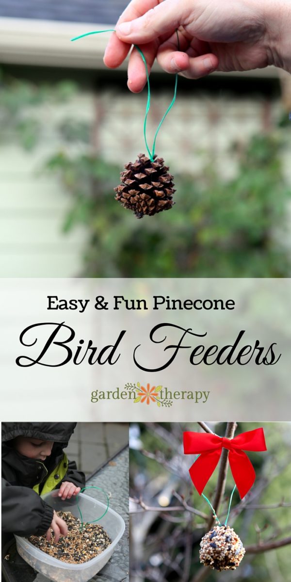 Pinecone Bird Feeders - Garden Therapy