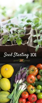 The Ultimate Seed Starting Guide - Garden Therapy