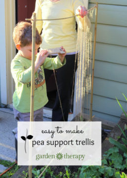 Making a Pea Trellis with Kids
