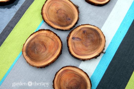 Natural Branch Coasters: How to Cut, Sand, and Seal Wood Slices