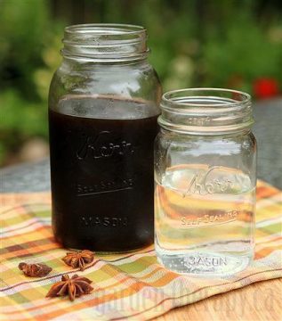 Homemade Soda Book Review and All-Natural Root Beer Recipe - Garden Therapy