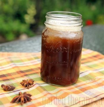 Homemade Soda Book Review and All-Natural Root Beer Recipe - Garden Therapy