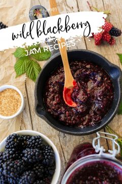 Stupendously Simple Wild Blackberry Jam