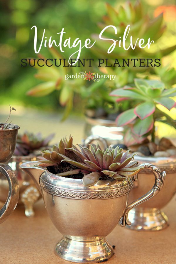 Vintage Silver Planters - Garden Therapy