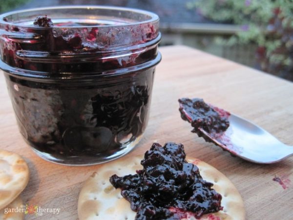 Stupendously Simple Wild Blackberry Jam