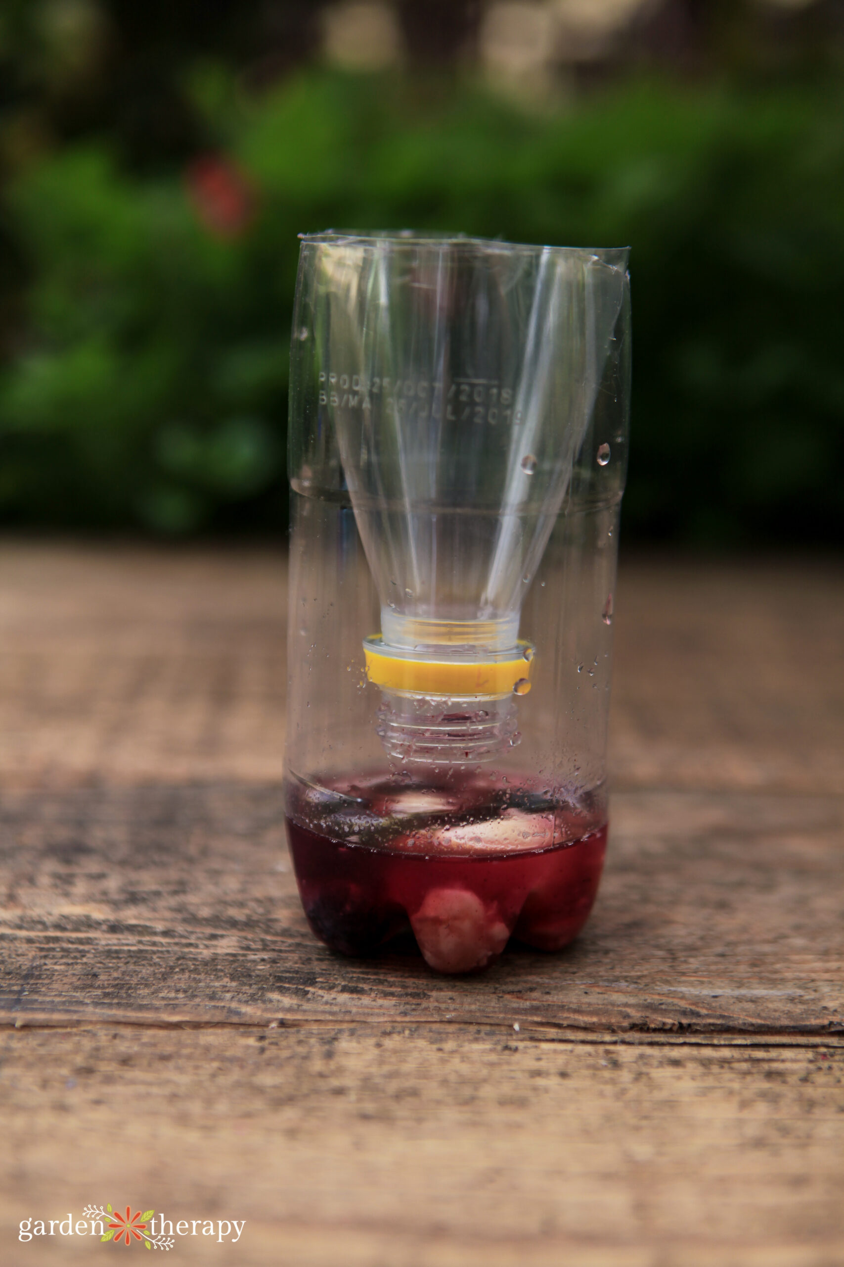 Super Simple DIY Wasp Trap - Garden Therapy