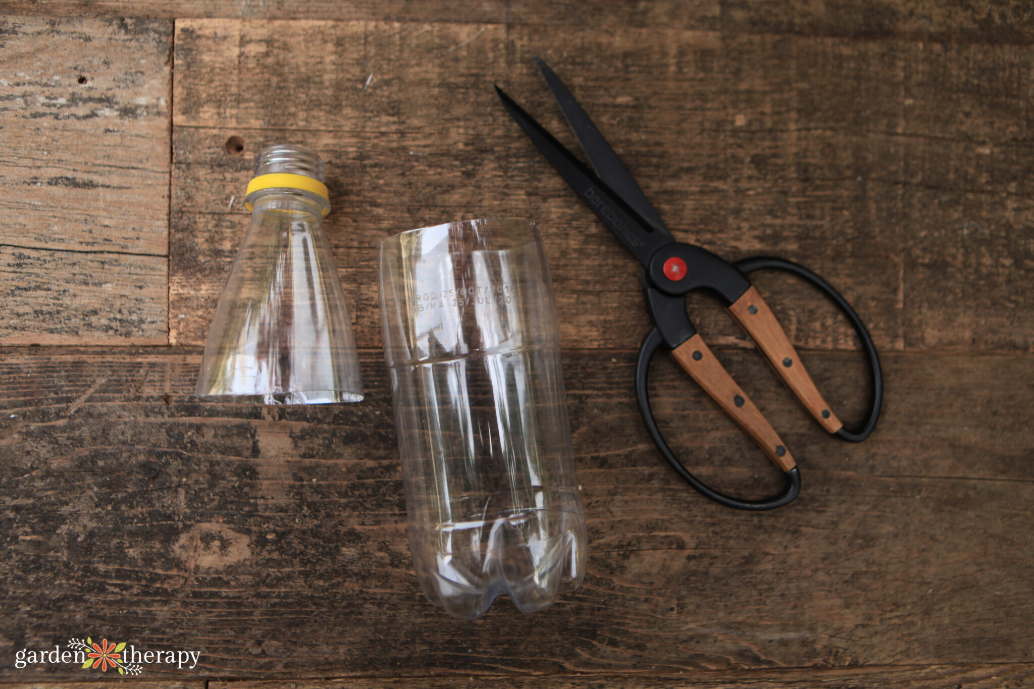 Super Simple DIY Wasp Trap - Garden Therapy