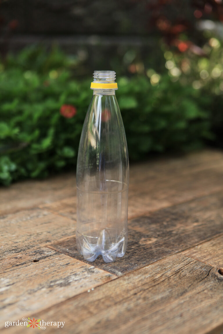 Super Simple DIY Wasp Trap - Garden Therapy