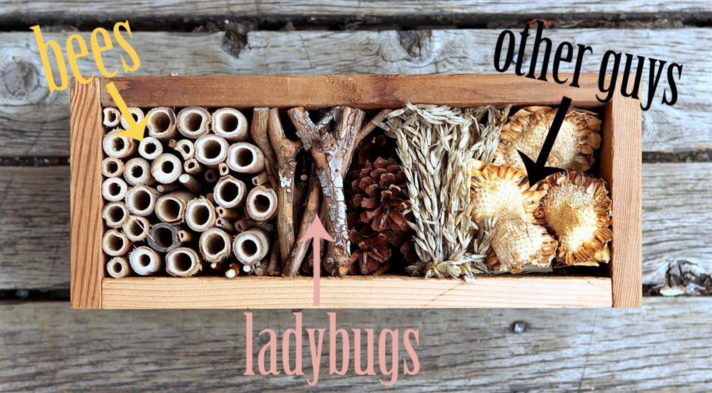How to Build a Bug Hotel - Garden Therapy