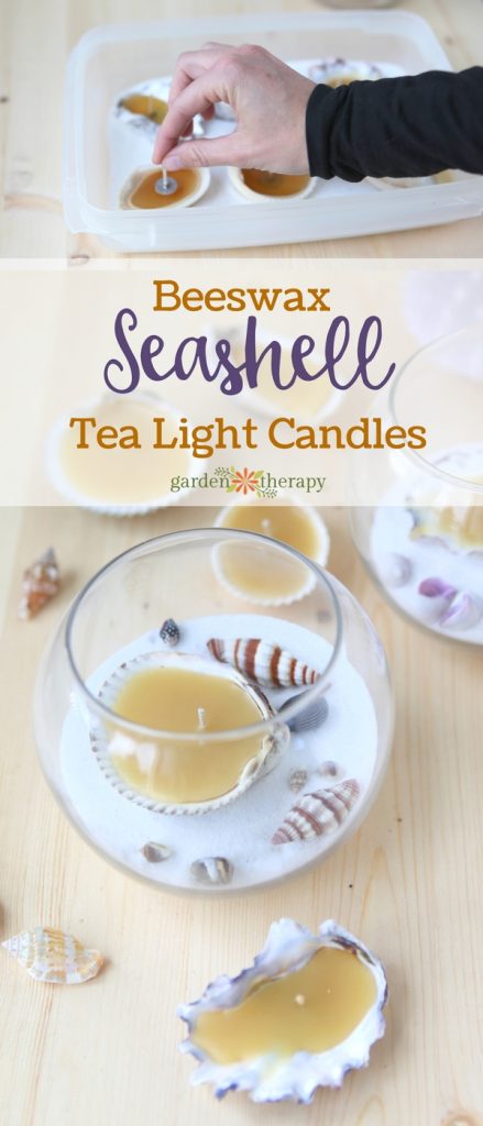Seashell Beeswax Tea Lights - Garden Therapy