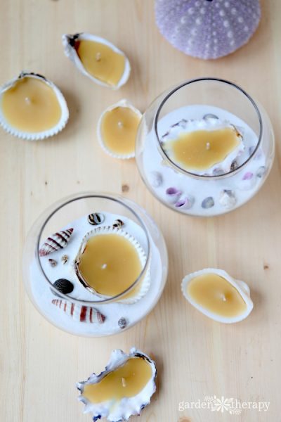 Seashell Beeswax Tea Lights - Garden Therapy