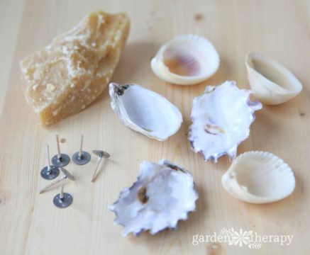 Seashell Beeswax Tea Lights - Garden Therapy