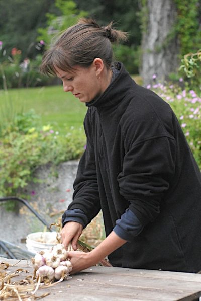 How to Braid Garlic for Stylish Winter Storage - Garden Therapy
