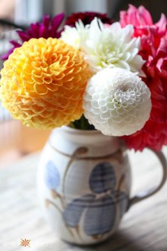 How to Make Cut Flowers Last: Easy Tips and Tricks that WORK!