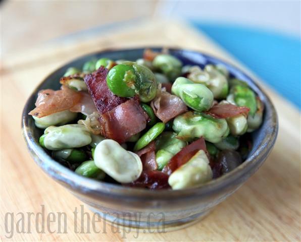 Broad Beans: Grow it! Eat it!
