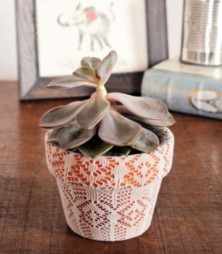 Decor in Seconds: Absolutely the Fastest Flower Pot Transformation ...