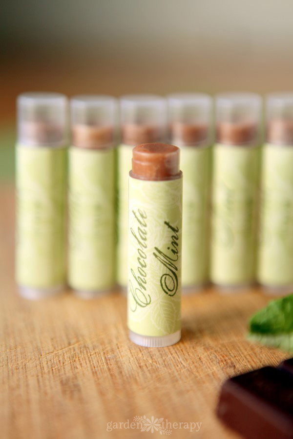 Decadent Chocolate Mint Lip Balm - Garden Therapy