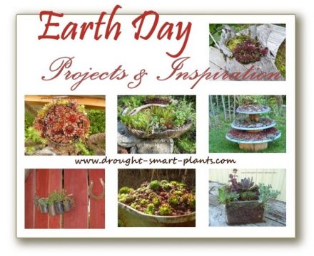 Celebrate Earth Day: Green Ideas from the Garden Charmers - Garden Therapy