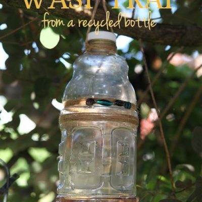 DIY Archives - Page 6 of 8 - Garden Therapy