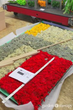 Moss is New Paint: How to Create Art with Moss