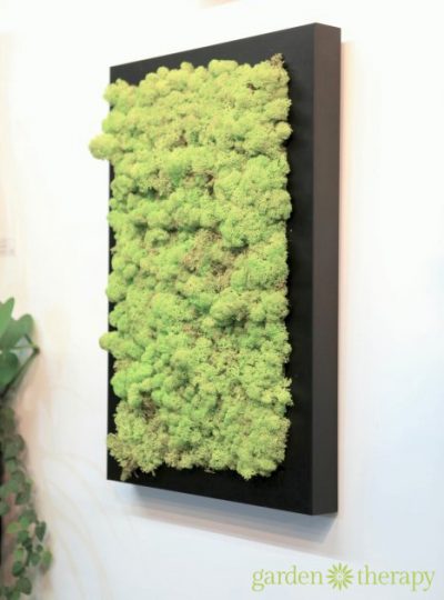 Moss is New Paint: How to Create Art with Moss