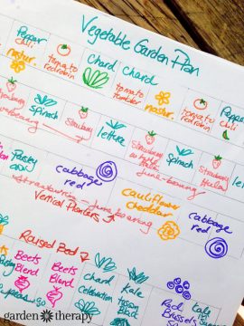 Designing the Vegetable Garden: How to Make a Garden Map