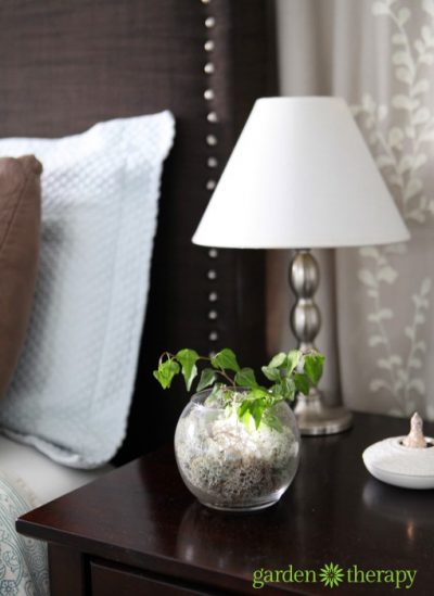 Terrarium Night Lights