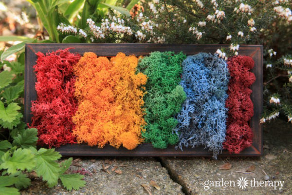 rainbow moss art