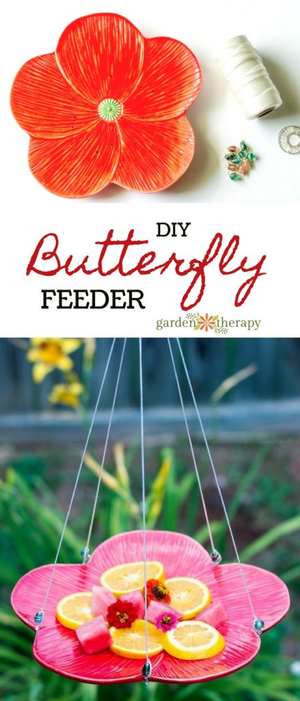 How to Make a Butterfly Feeder