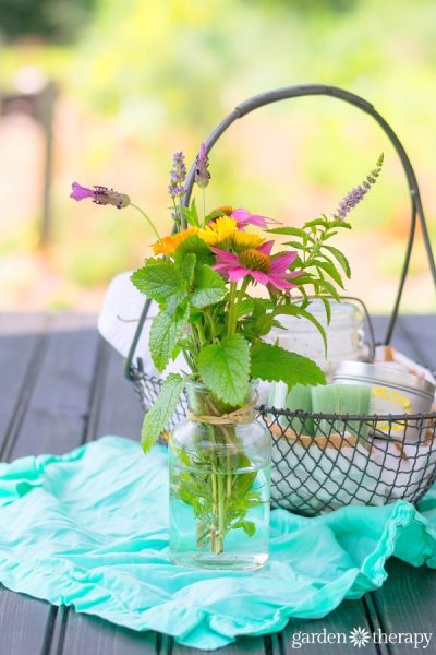 Herbal Guide to Lemon Balm: Grow, Harvest, and Use a Lemon Balm Plant ...