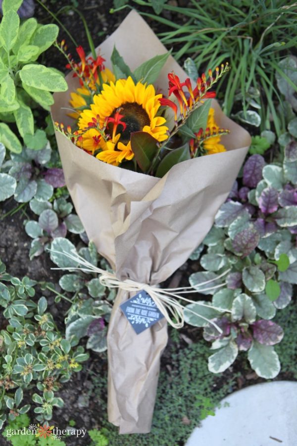 Cut Flower Gardening: The Best Cutting Flowers & Harvesting Tips