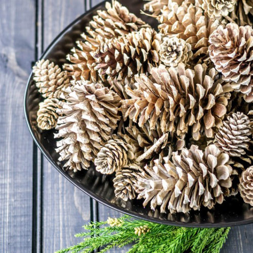 How to Make GORGEOUS Bleached Pinecones