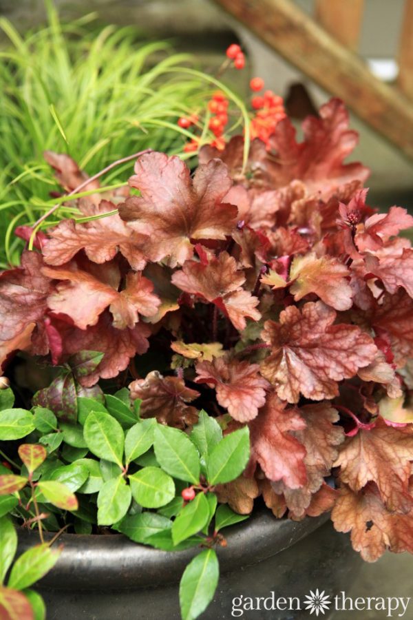 Made for the Shade: Low Maintenance Fall Planters Bursting with Colour