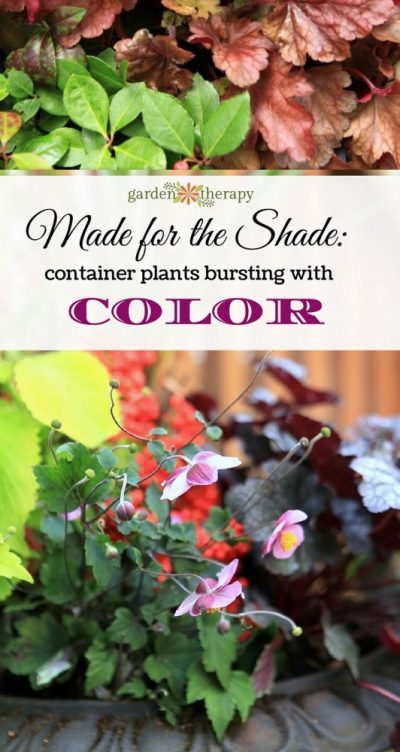 Made for the Shade: Low Maintenance Fall Planters Bursting with Colour