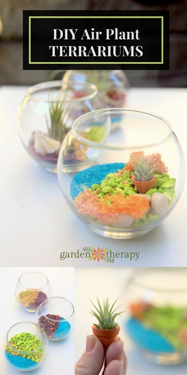 Make These Colorful Terrariums to Brighten Up Your Day!