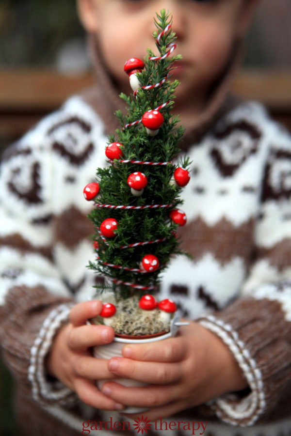 This Miniature Mushroom Tree is for the Gnomes