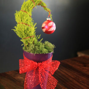 A Small Tree With a Big Message: How to Make a Grinch Tree