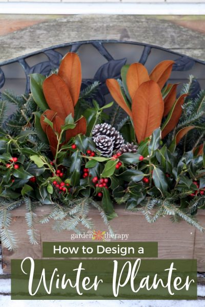 A Holiday Window Box You Can Display Anywhere - Garden Therapy
