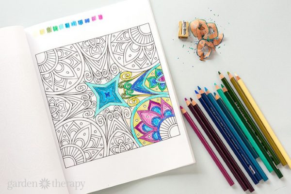 Color Like a Designer: How to Choose a Color Palette for Adult Coloring ...