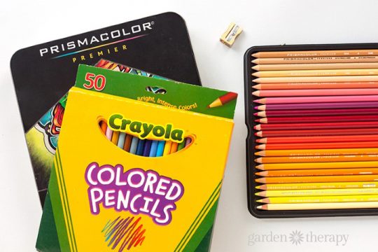 Color Like a Designer: How to Choose a Color Palette for Adult Coloring ...