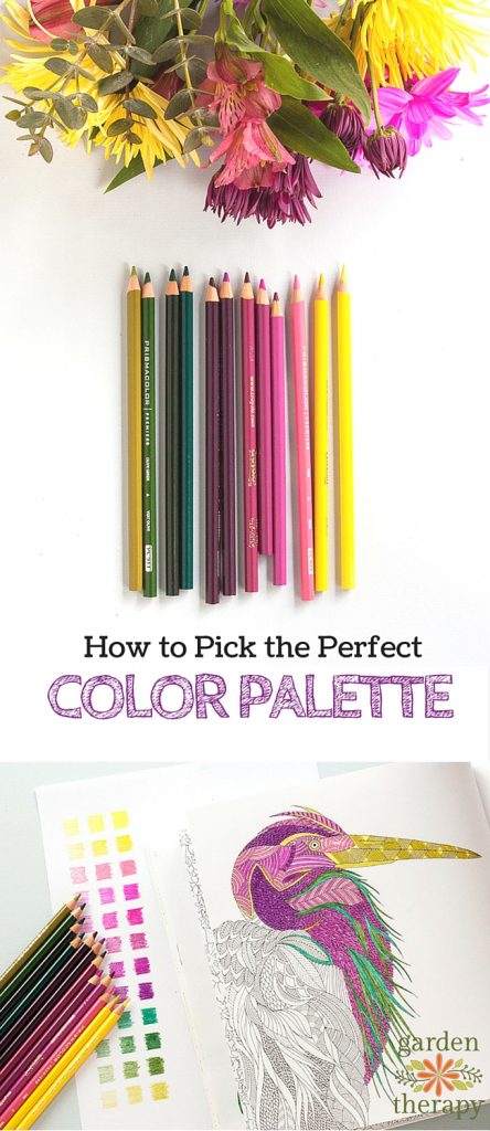 Color Like A Designer How To Choose A Color Palette For Adult Coloring 