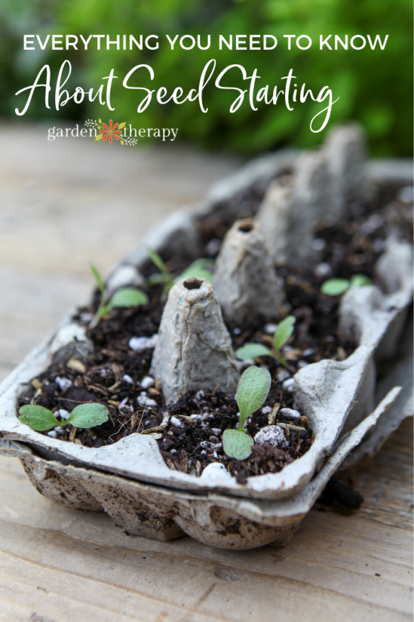 The Ultimate Seed Starting Guide - Garden Therapy
