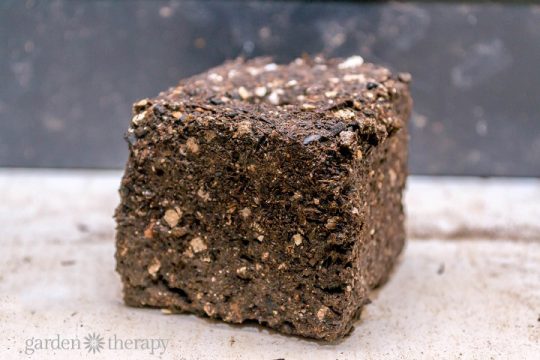 These Easy & Economical Soil Blocks Will Change How You Garden - Garden ...