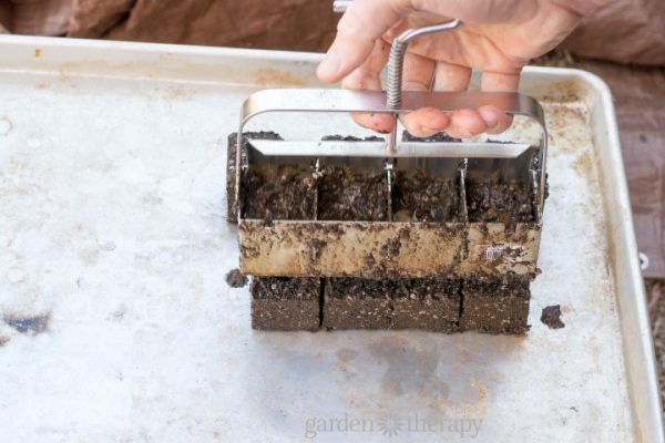 These Easy & Economical Soil Blocks Will Change How You Garden - Garden ...