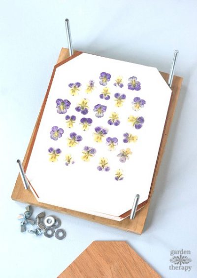 Woodworking for Gardeners: Make a Handmade Flower Press - Garden Therapy