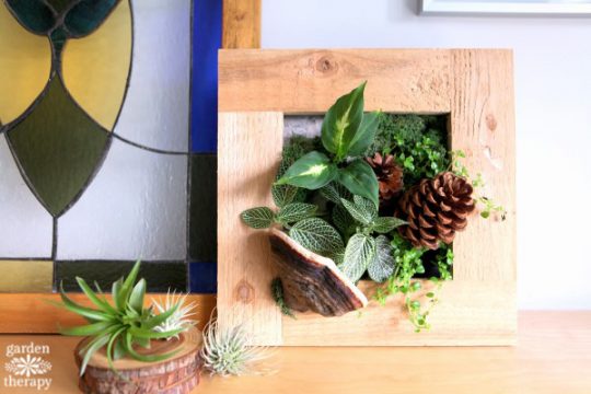 Where Gardens and Art Collide: WallFlower Living Frame - Garden Therapy